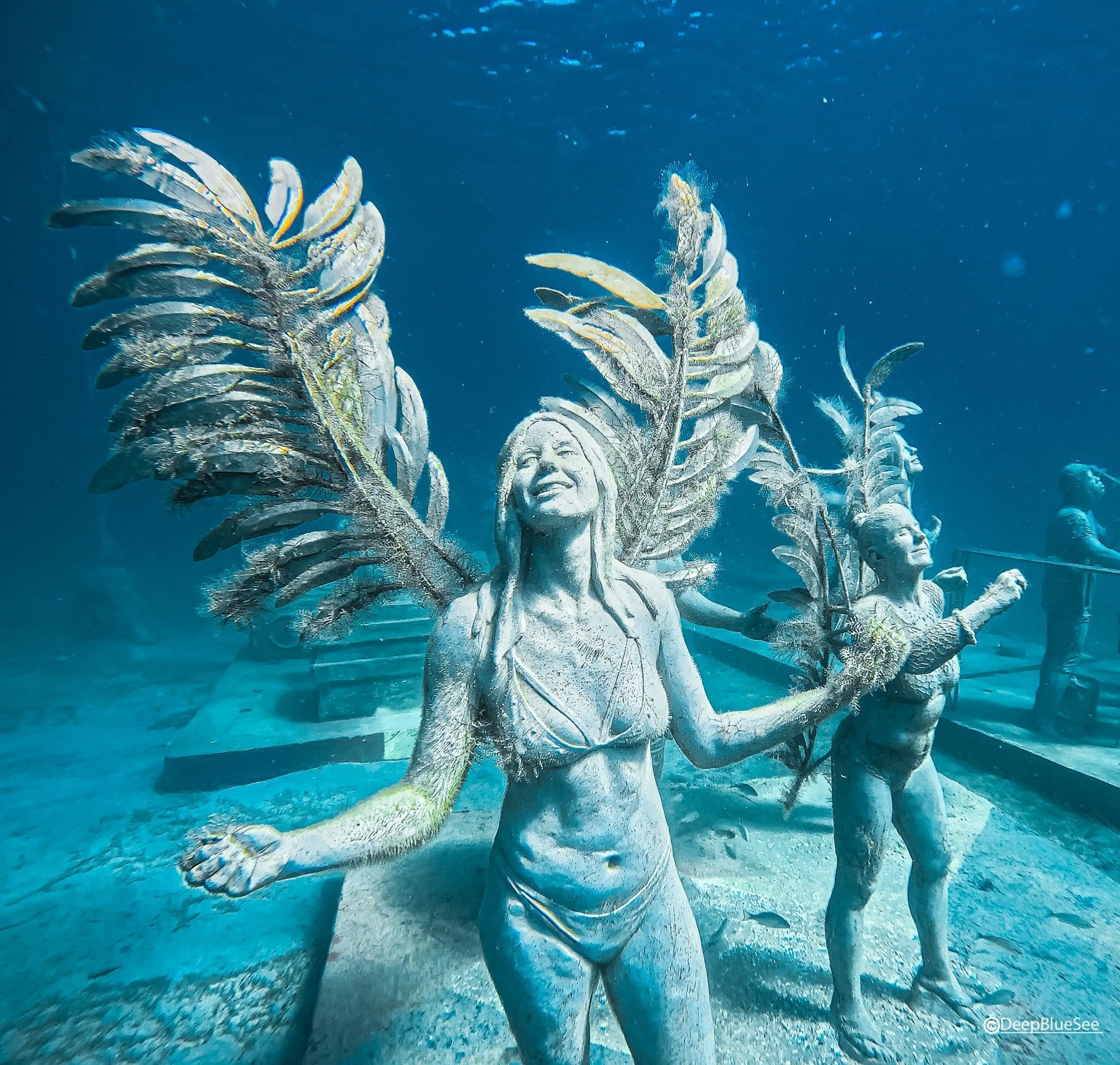 Underwater Sculpture Park - Aqua Mania Adventures